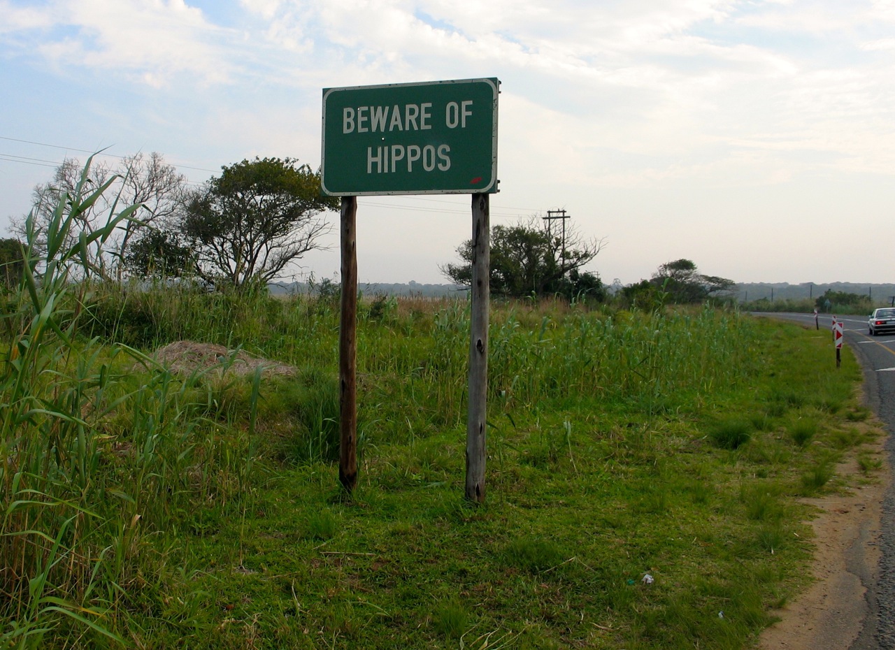 Signs of the times | Womanseyeview's Blog